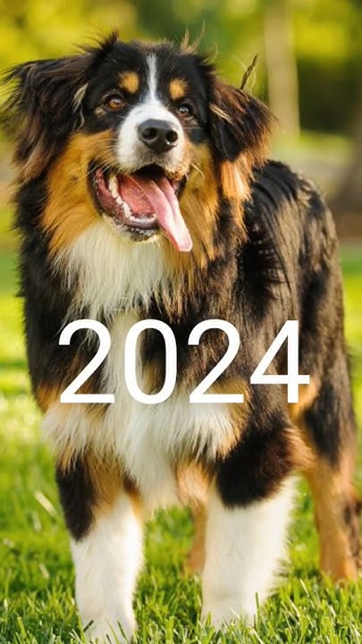 2024 dog and 5000bce dog || Past animals ||#shorts #Trend #trend #new # ...