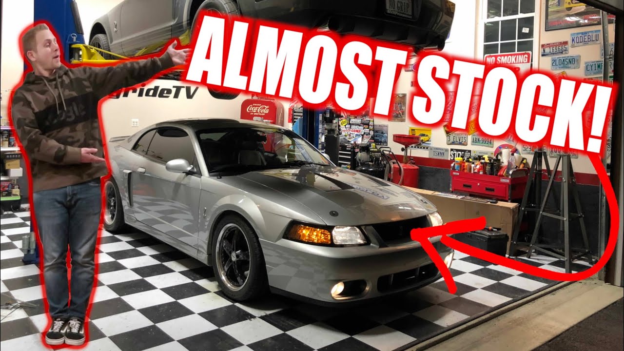 Just Picked up a TERMINATOR COBRA whats done to it - REVIEW - YouTube