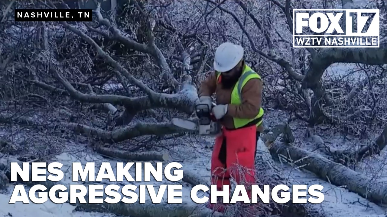 NES announces major changes to tree trimming after winter storm - YouTube