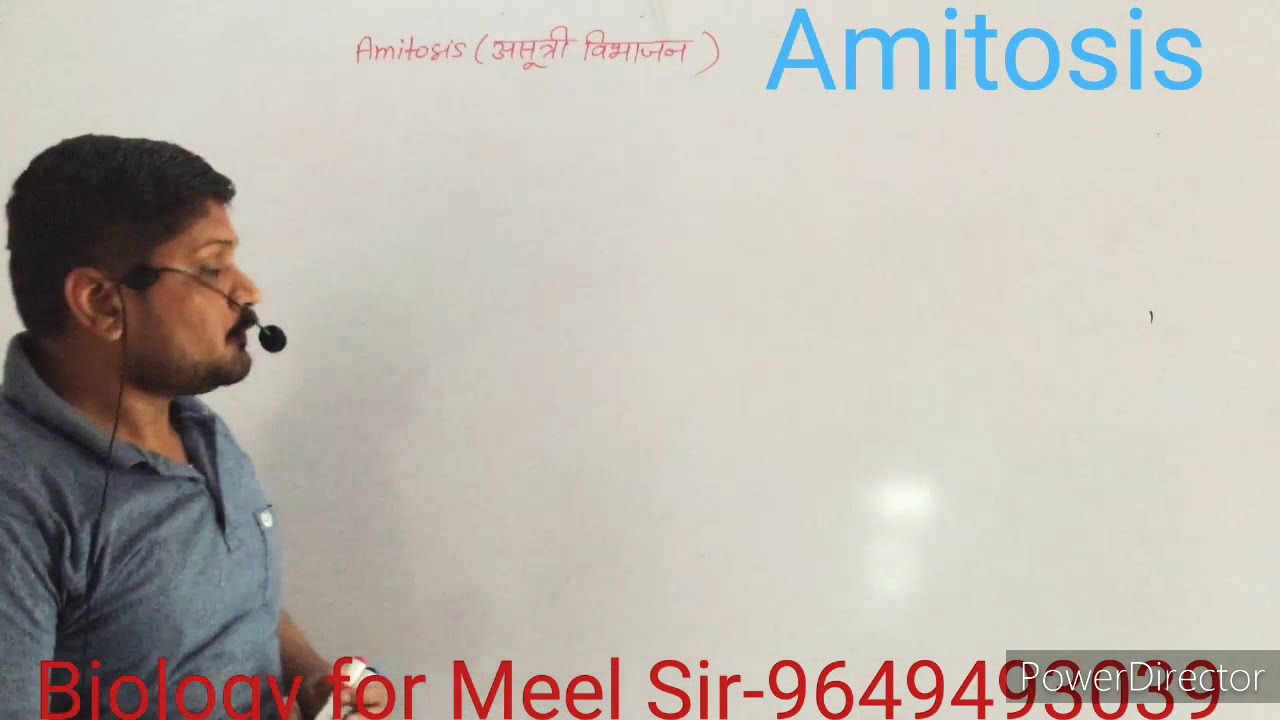 Cell_30 (Amitosis) - YouTube