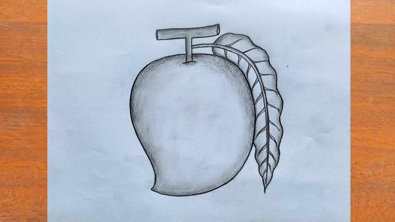 आम का चित्र बनाना सीखें / How to Draw a Mango Easy Step By Step / Mango ...