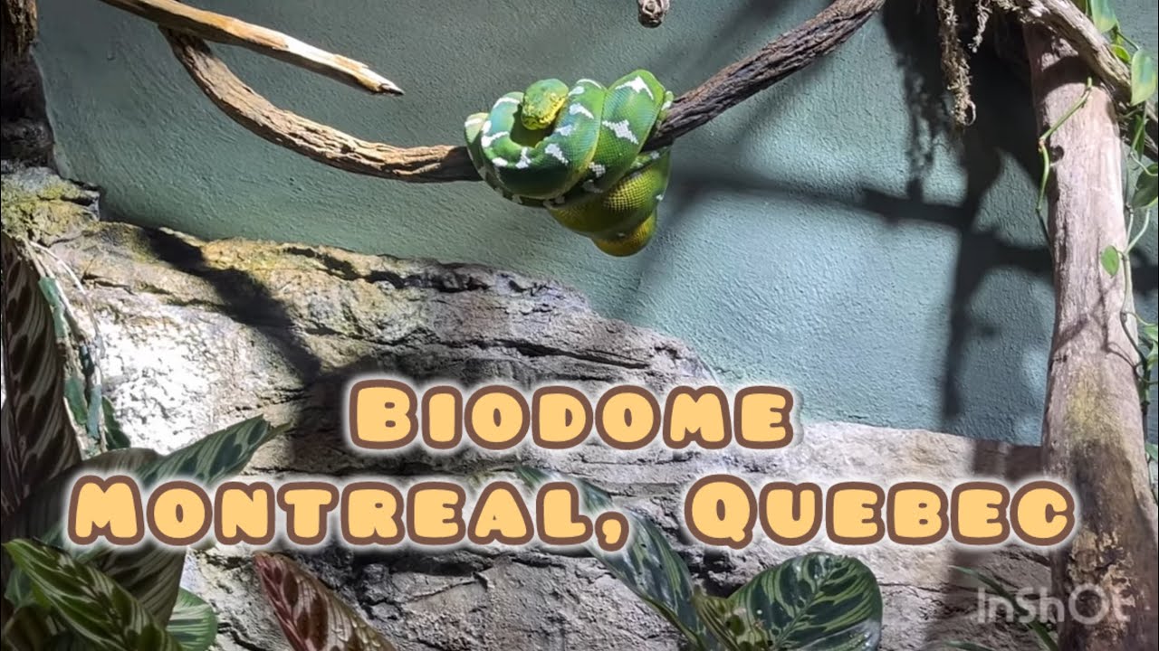 Montreal Attractions | Biodome | Quebec | Canada 🇨🇦 - YouTube