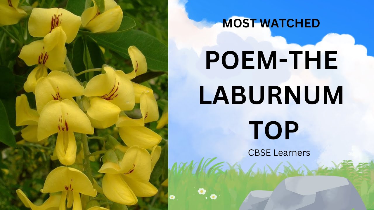 The Laburnum Top (Poem) 🤯| Class 11|Line by line NCERT explanation ...