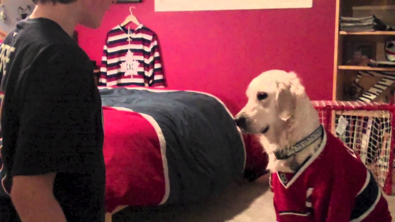 Triple Low Five as performed by Renny the dog - YouTube
