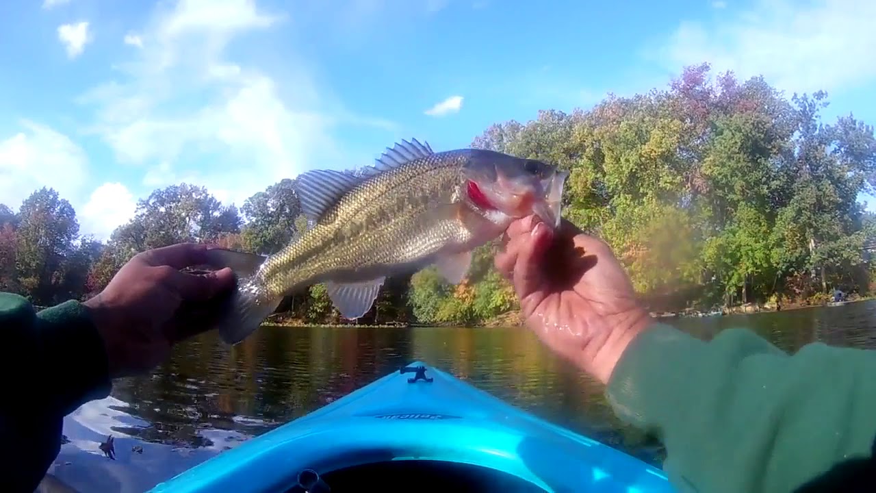 PRT 2 FIRST TIME FALL FISHING NEWTON LAKE ON A KAYAK - YouTube