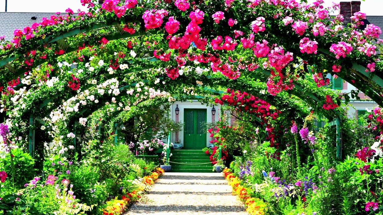 The house is a garden! (HD1080p) - YouTube