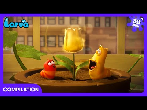 Larva - Kırık Kalp Tamiri! 💔 | Çocuk Çizgi Film | WildBrain Gadget Garajı