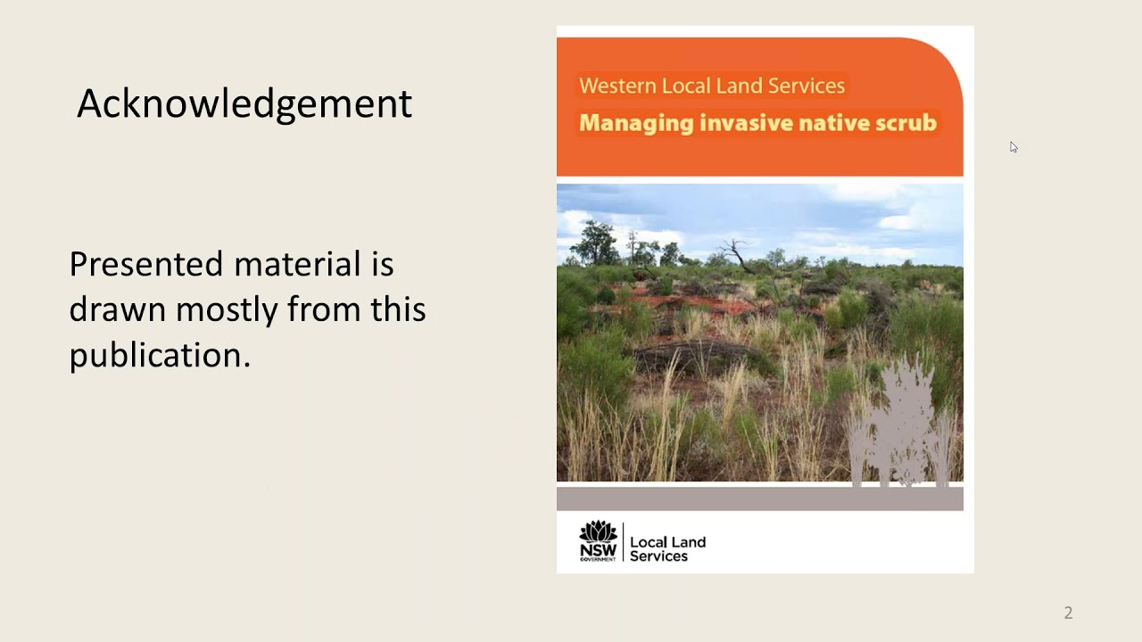 Managing Invasive Native Scrub in Western NSW - YouTube