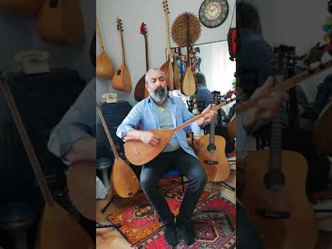 Geldim şu alemi ıslah edeyim
