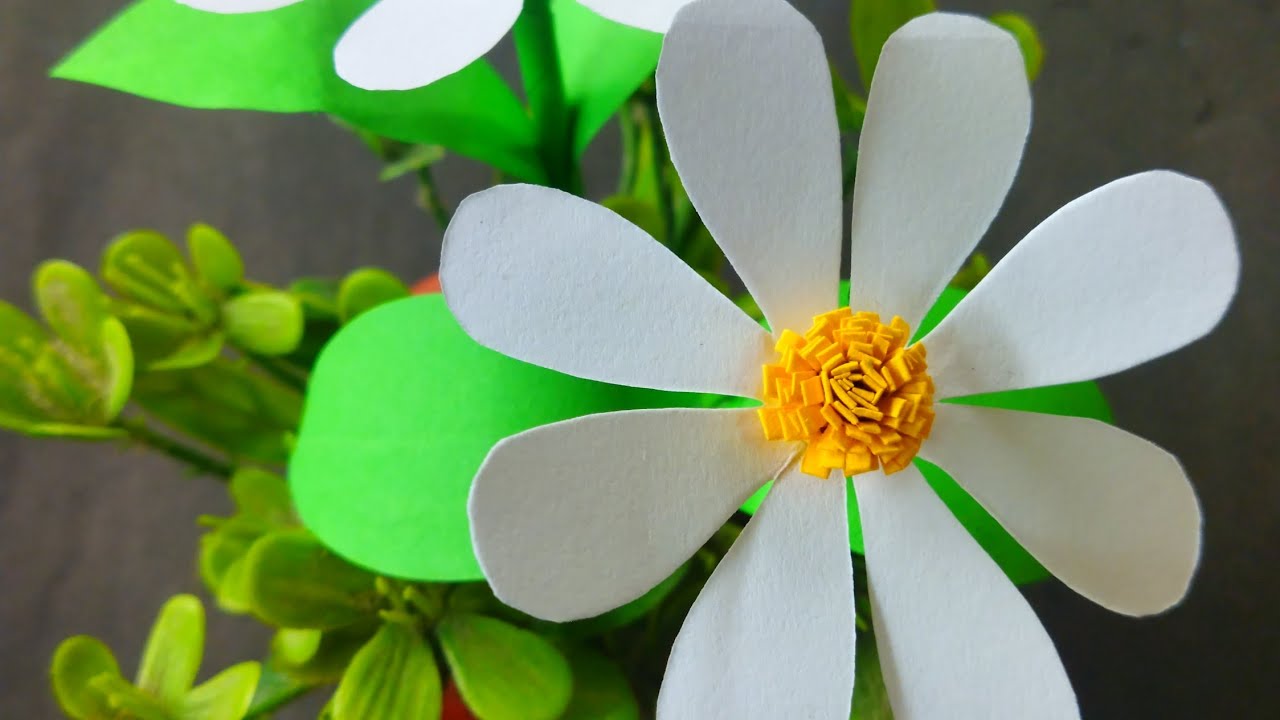 DIY/Flower Making Idea/How to make Paper Flower🌺🌺/Easy And Quick Paper ...