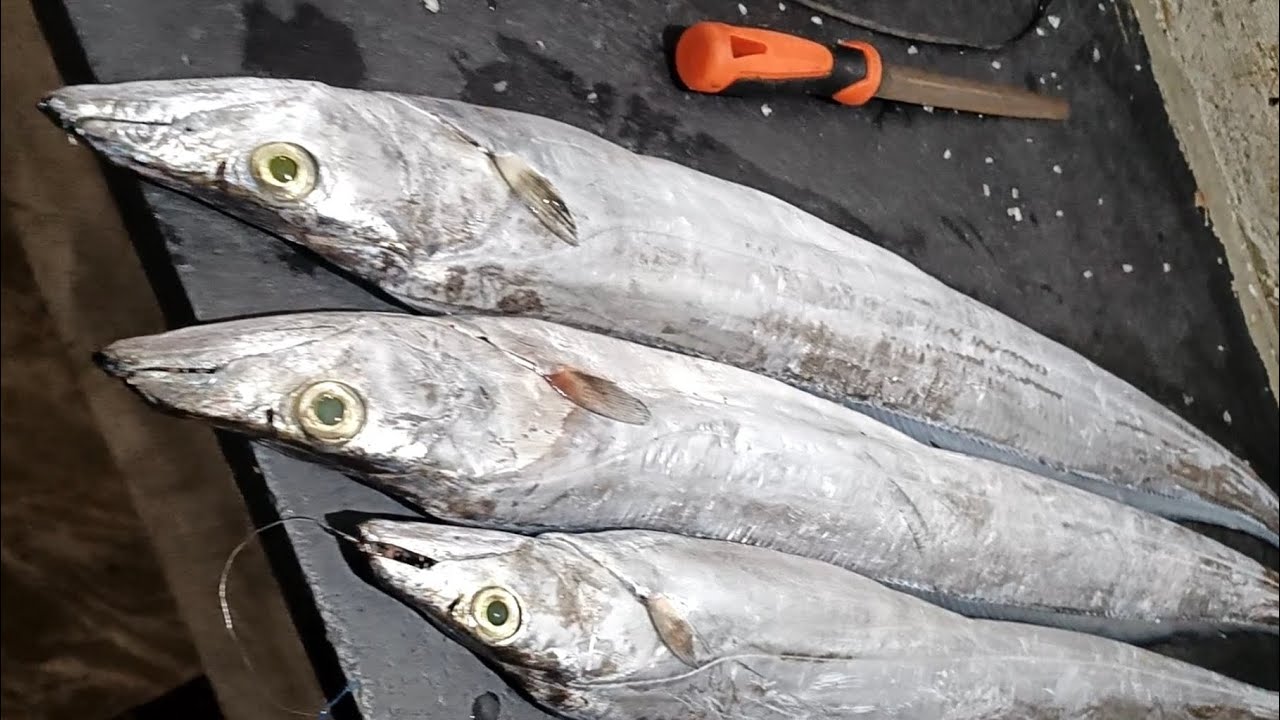 talen fish cutting skills || short video || fish#fishcuttingskill #fish ...