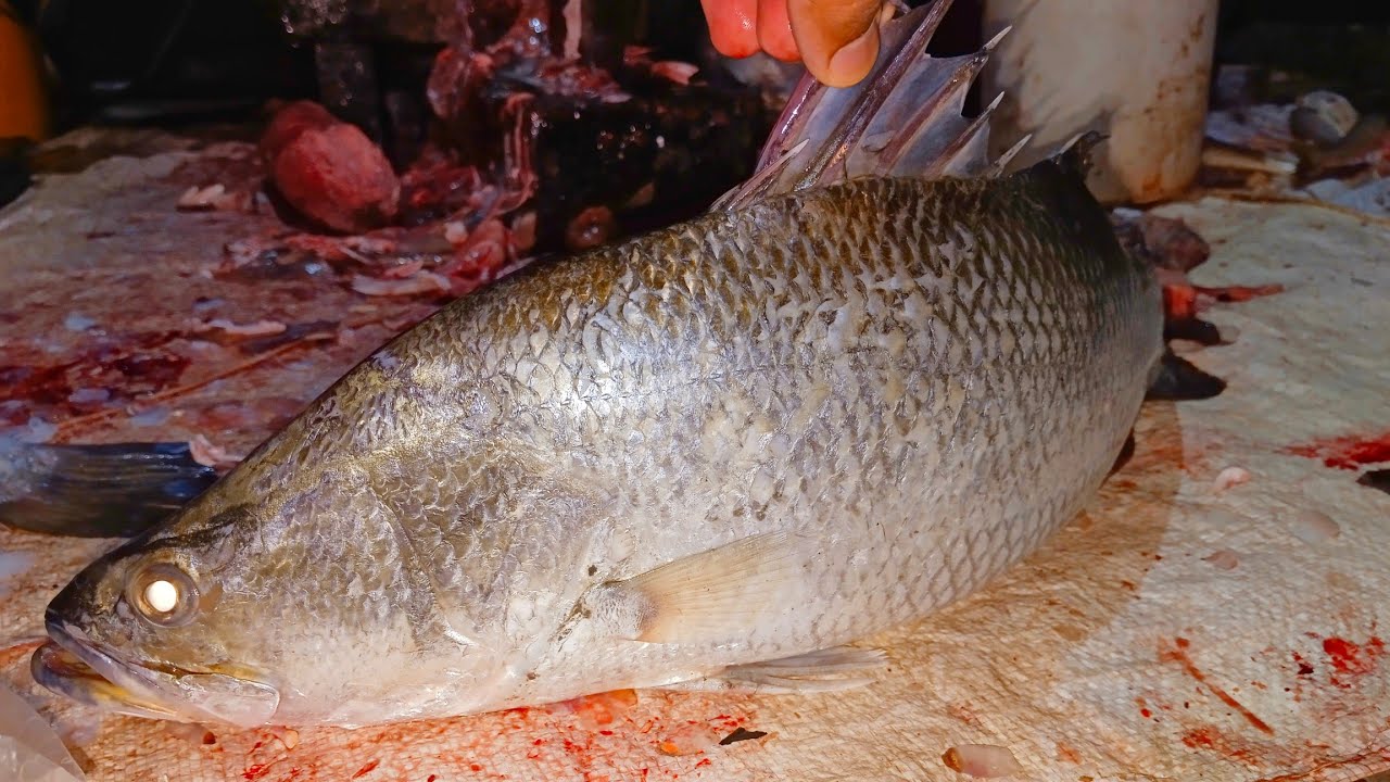 Giant Koral Fish Skinning &Chopping By Expert Fish Cutter ...