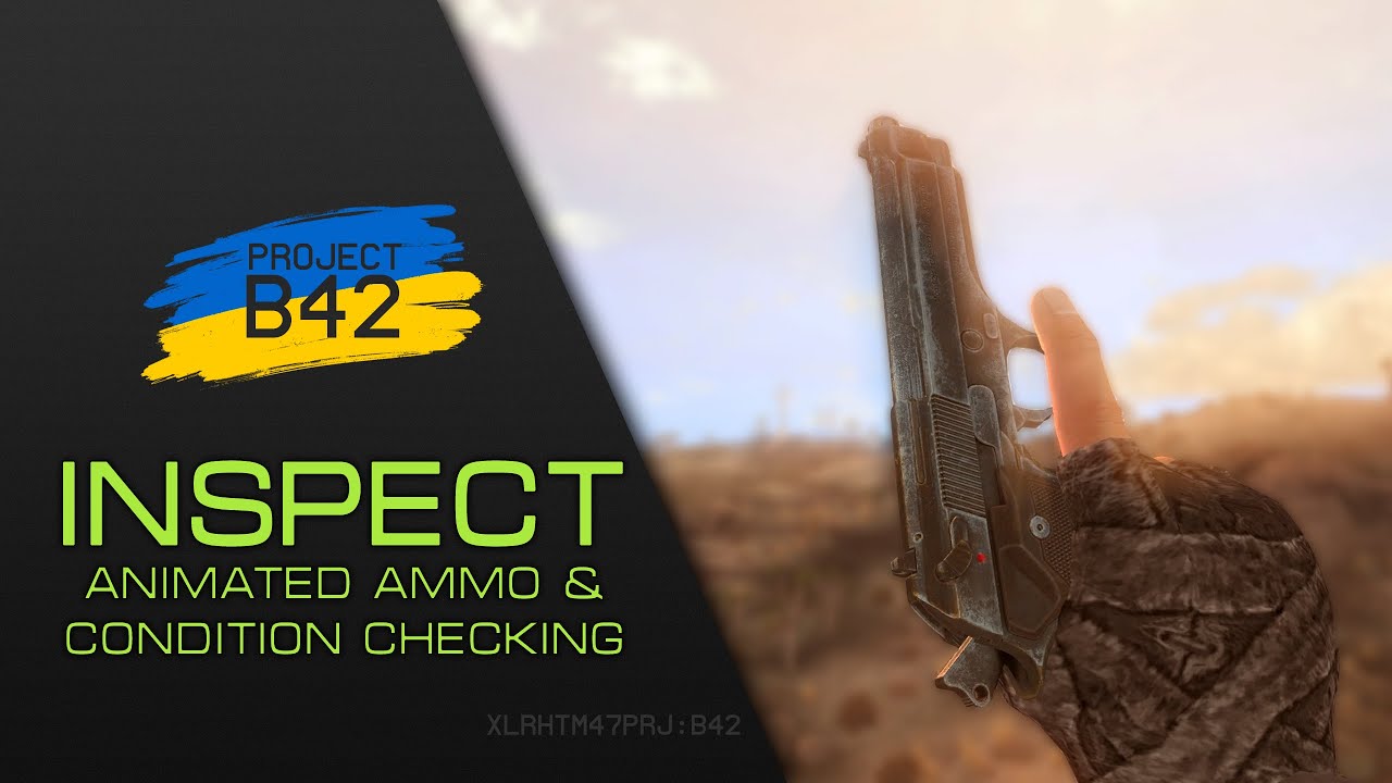 B42 Inspect - Animated Ammo & Condition Checking - FNV mod release ...