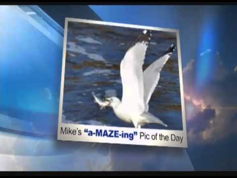 Mike Maze Amazing Pic of the Day - YouTube
