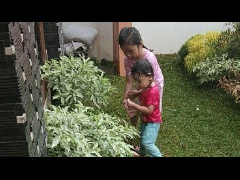 hujan ayok mandi..hahhaa