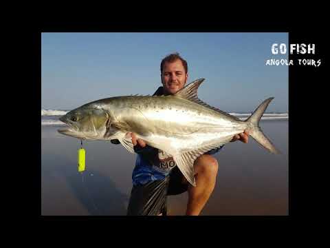 Angola Fishing Tour - June 2017 - Go Fish Mossel Bay - YouTube