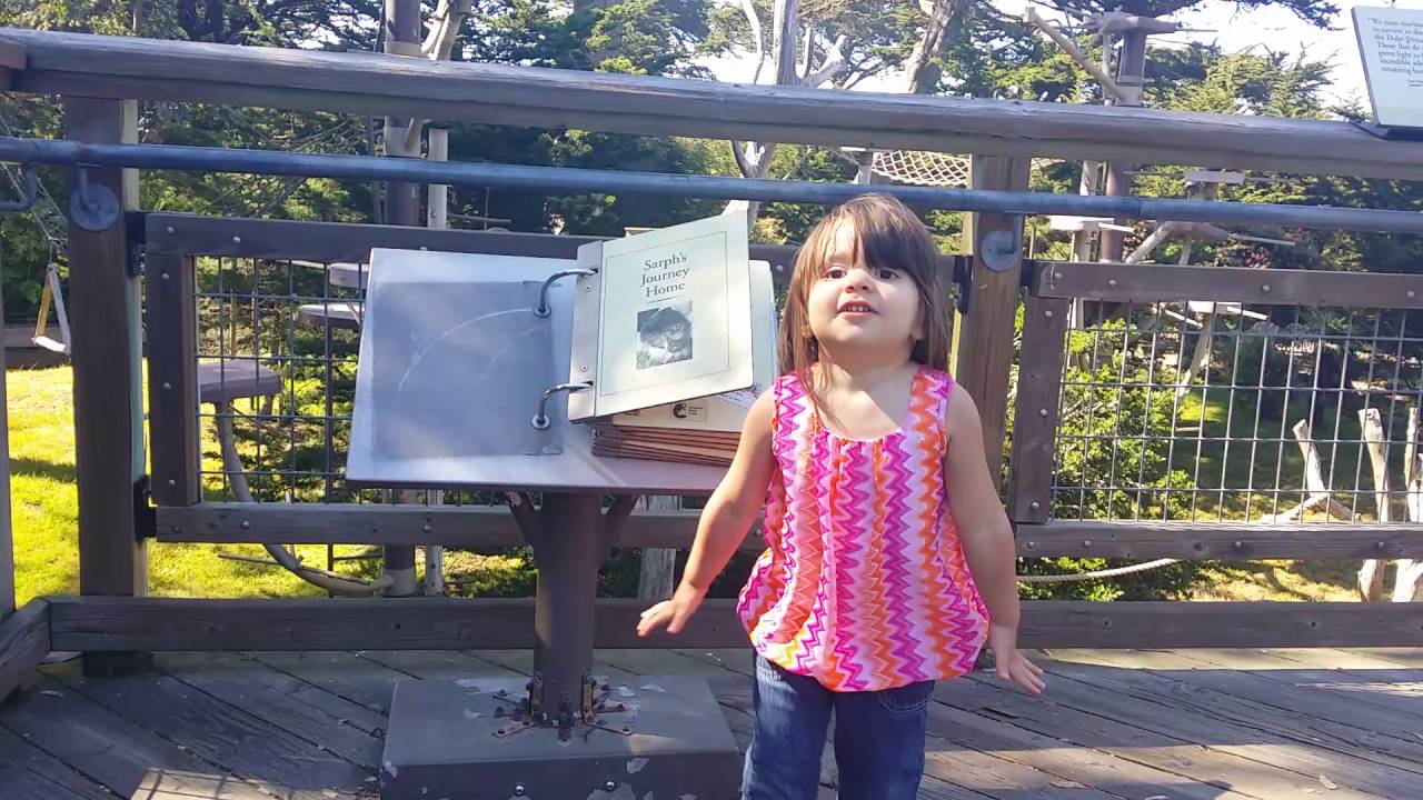 Baby Lydia at the San Francisco zoo. 2014 - YouTube