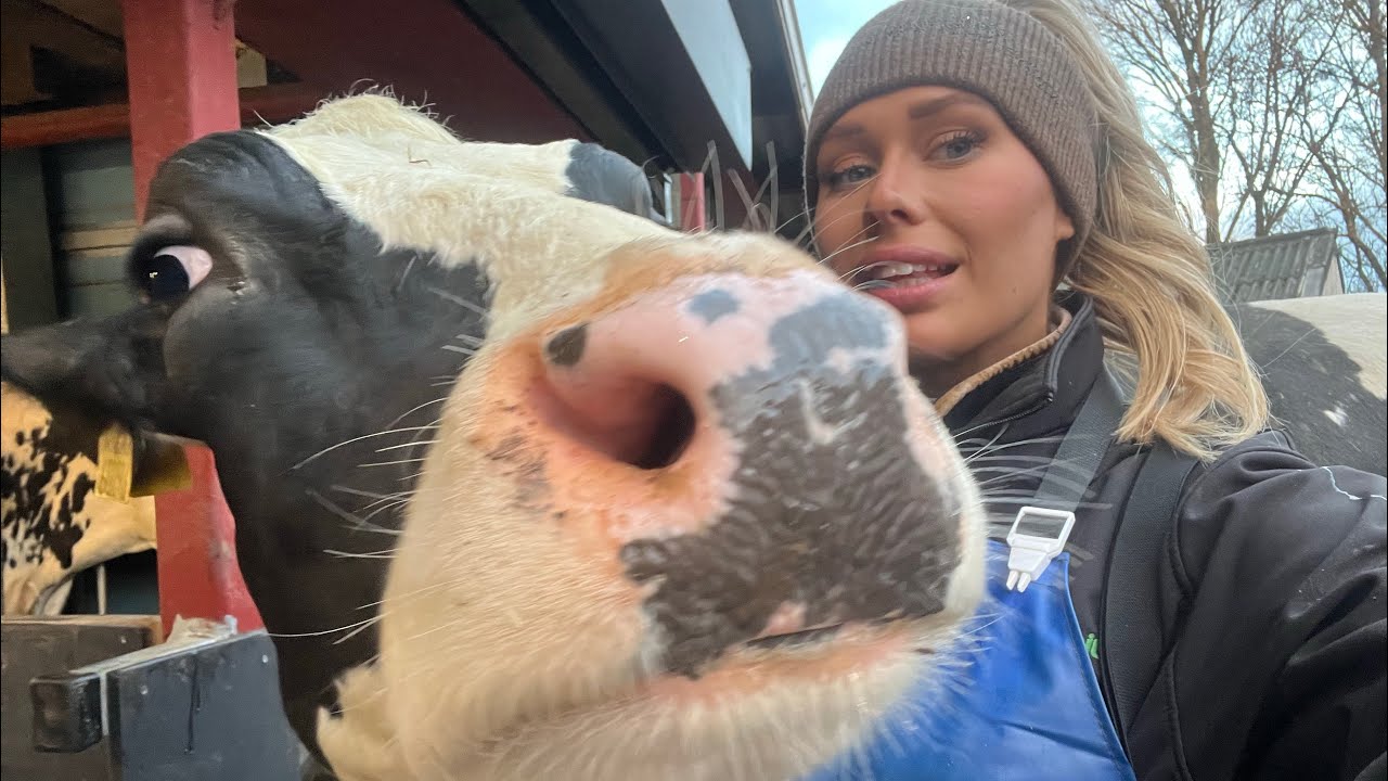 Come Spend A Couple Days On The Farm With Me Foreverinwellies Farming Girlswhofarm Youtube
