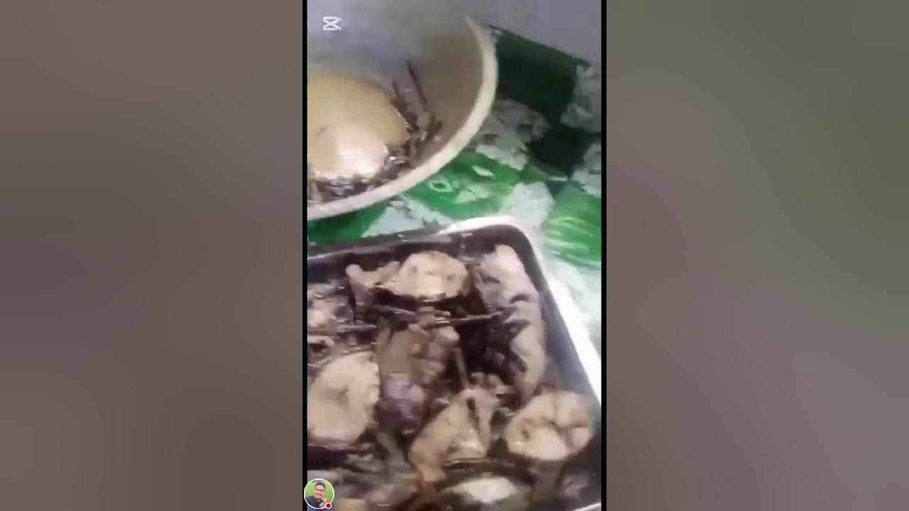 Kuya Jess Vlogs is live!cooking - YouTube