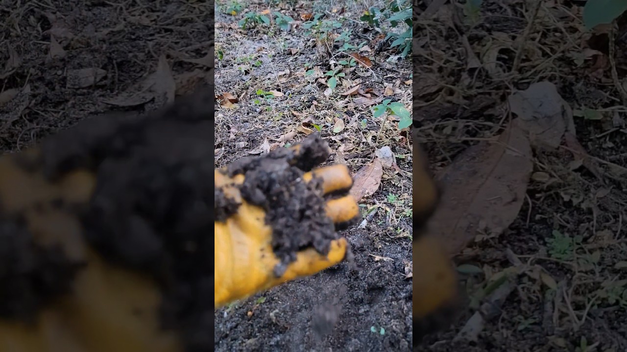 Can We Talk About Soil Building Again 🩵 #farm #country #soil #farmlife ...