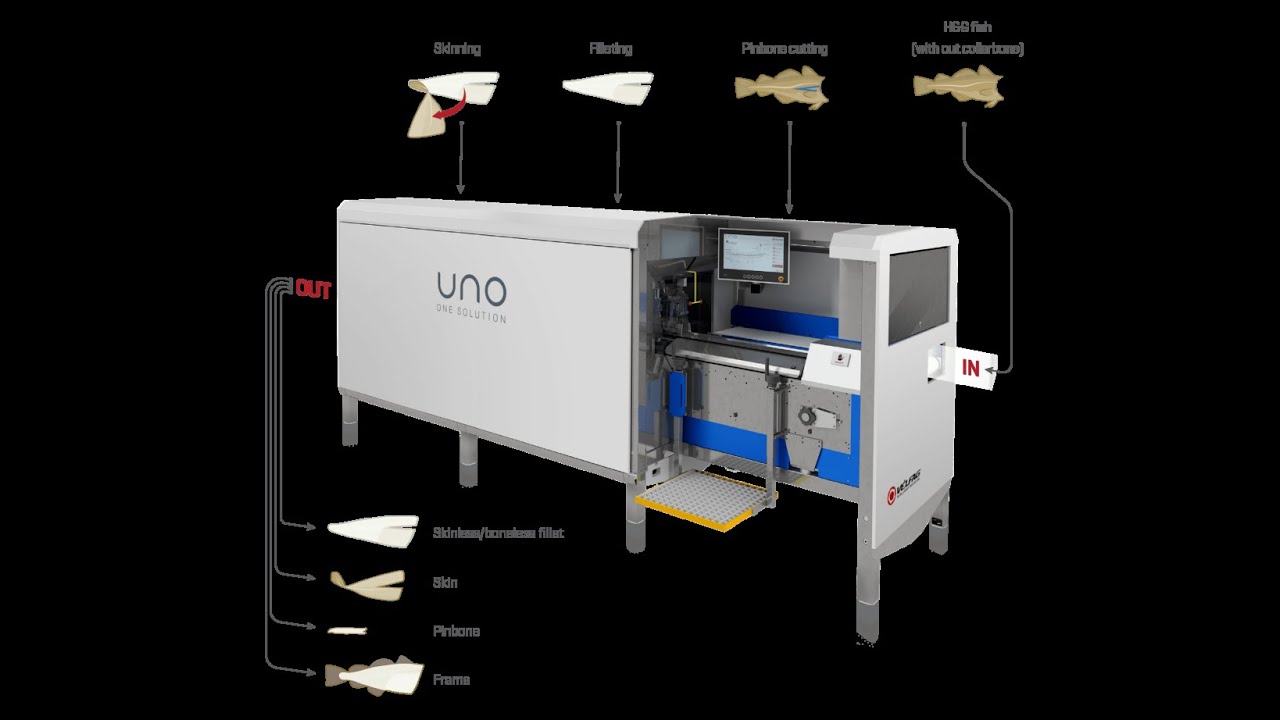UNO fish processing machine - Velfag - YouTube
