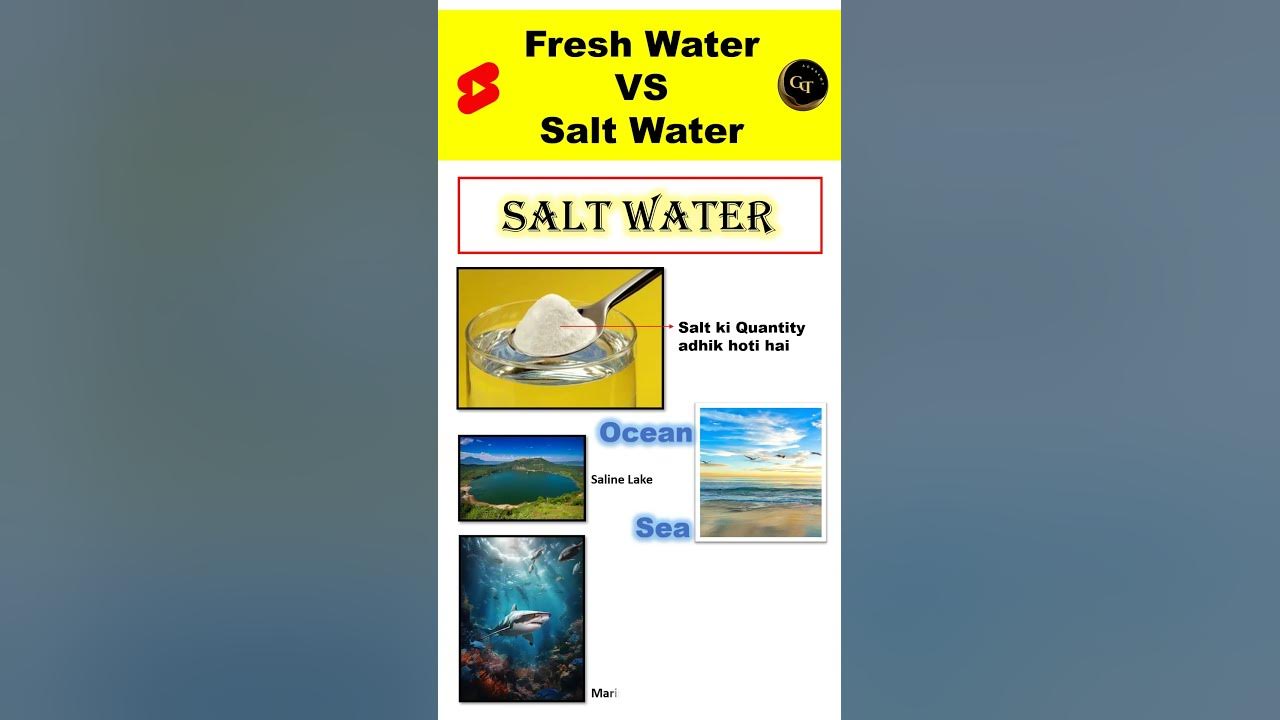 Fresh vs. Salt Water | Exploring Key Differences, #gtacademy #shorts ...