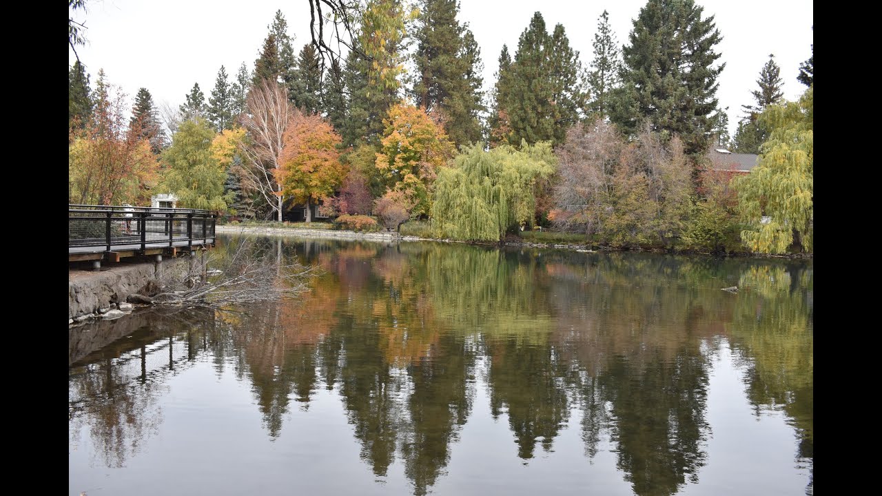 Fall foliage on display in Bend, Oregon - YouTube