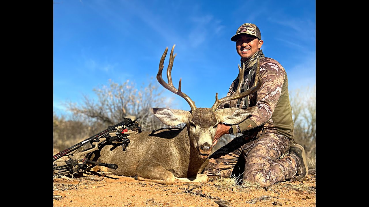 Arizona Mule deer OTC Public land. - YouTube