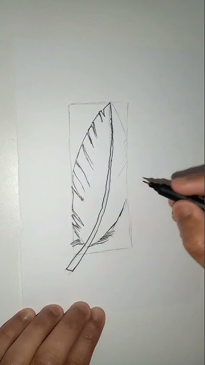 Como Dibujar una Pluma Fácil Paso a Paso - YouTube