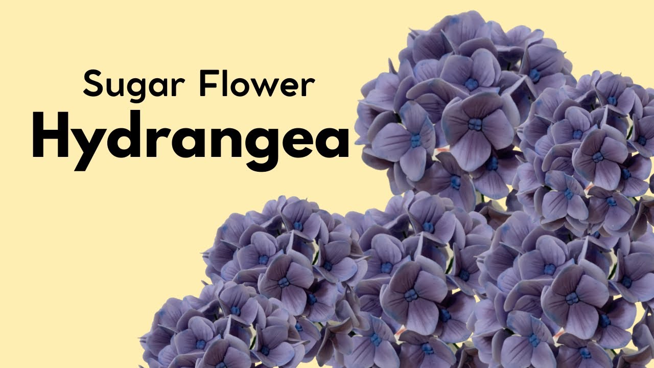Easy to make Hydrangea Sugar Flowers ⁠|Sugar Flower Tutorial - YouTube