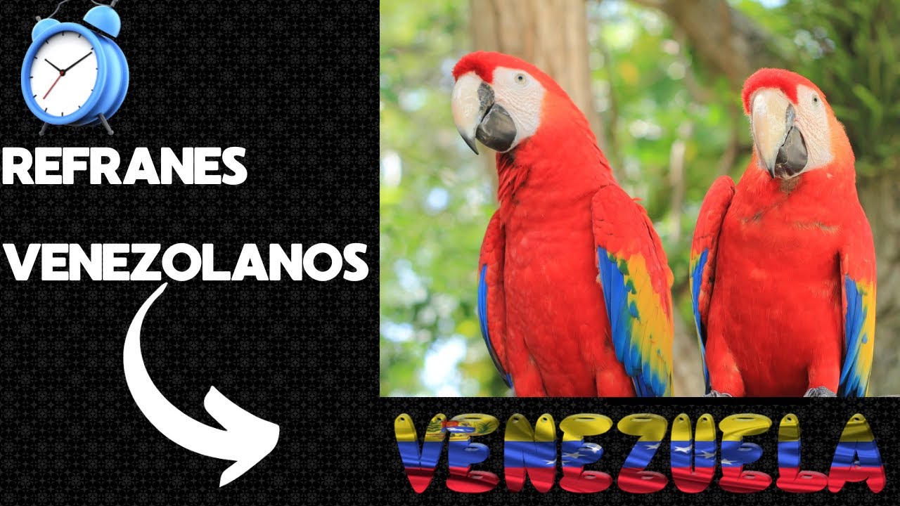 🇻🇪 ⛰️ 🐎 Refranes Populares VENEZOLANOS 🇻🇪 ⛰️🐎 - YouTube
