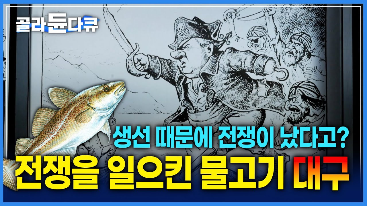 세상을 바꾼 물고기가 있을까 전쟁을 3차례나 일으킨 생선 대구의 흥미진진한 모험이야기 대항해시대 다큐프라임