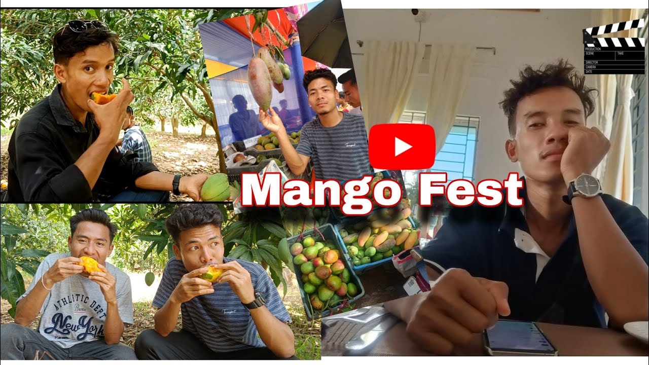 Mango Fest 2k24 || 🌞😋 Trying the test of Different varities Mango 🥭 😊 ...