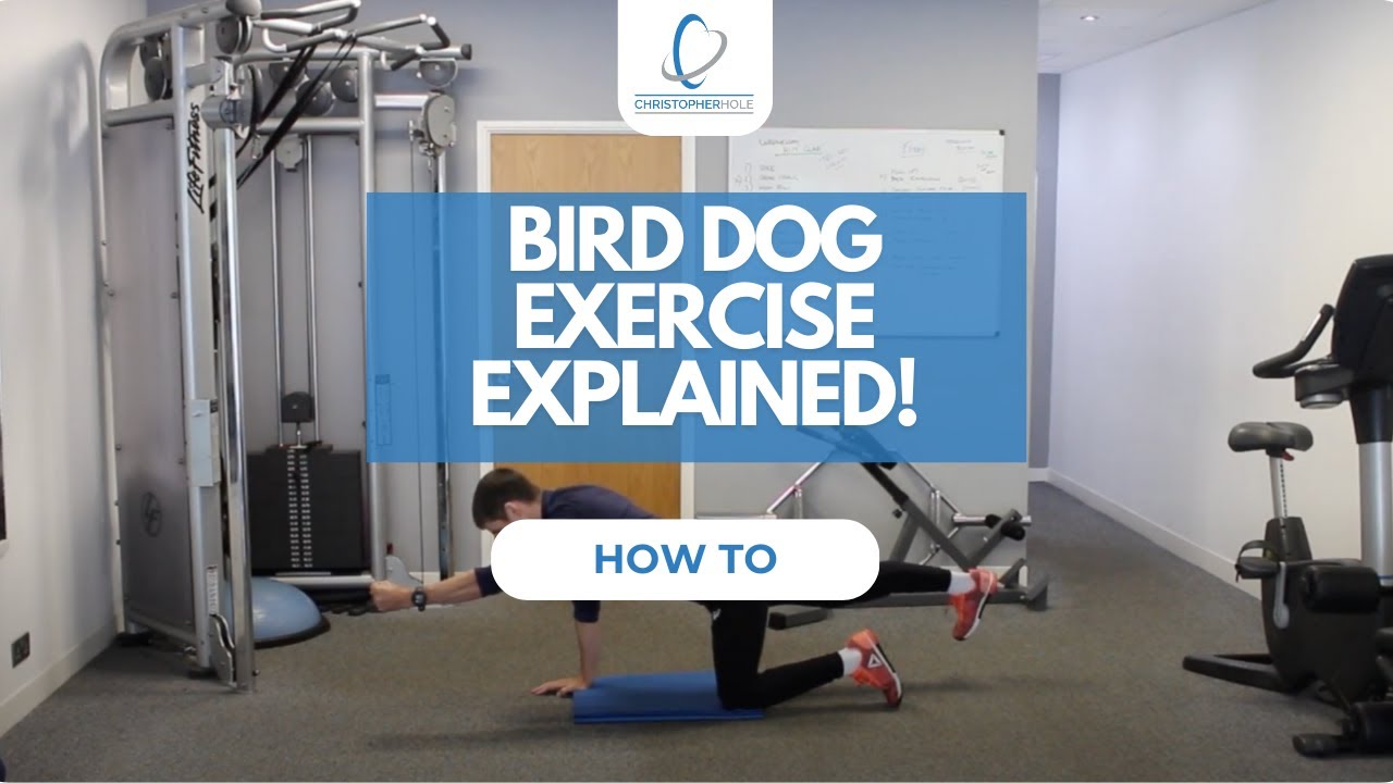 Master the Bird Dog: Key Teaching Points for Low Back Stability - YouTube