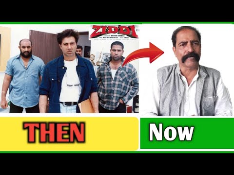 Ziddi 1997 Movie Star Cast Then and now | Sunny Deol, Raveena Tandon ...