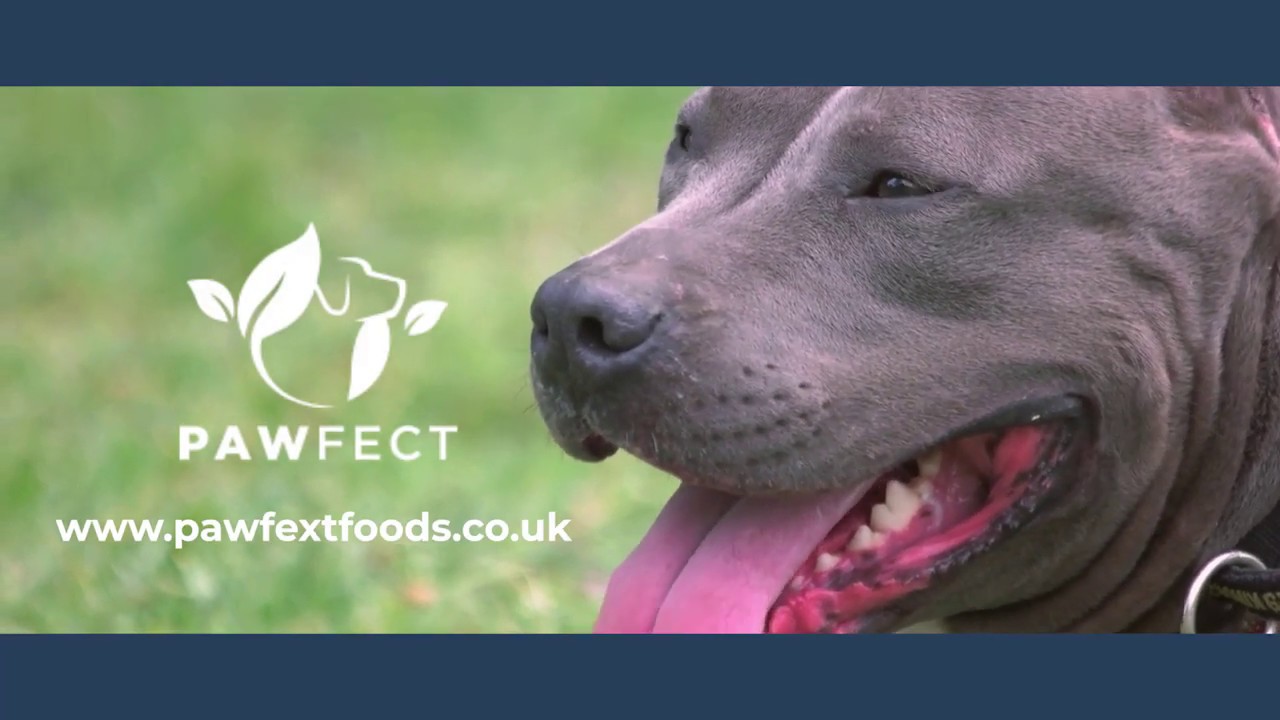 Pawfect Pet Foods Social Promo - YouTube