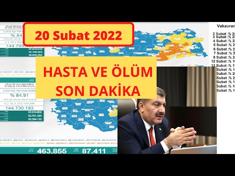 Son dakika: 20 Subat Bugünkü vaka sayısı | Korona virüs vaka sayıları tablosu | Günlük vaka sayısı