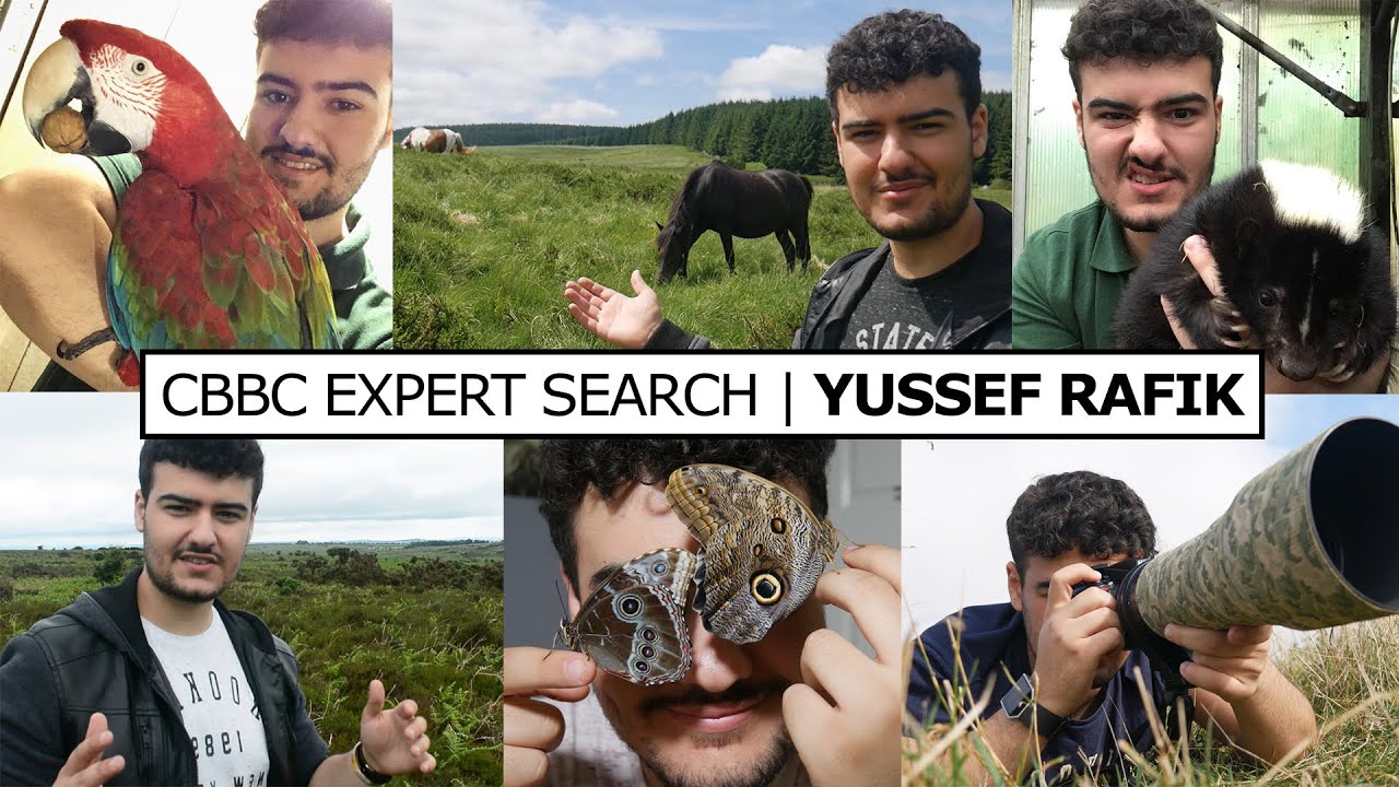 Yussef Rafik | CBBC Expert Search | Nature - YouTube