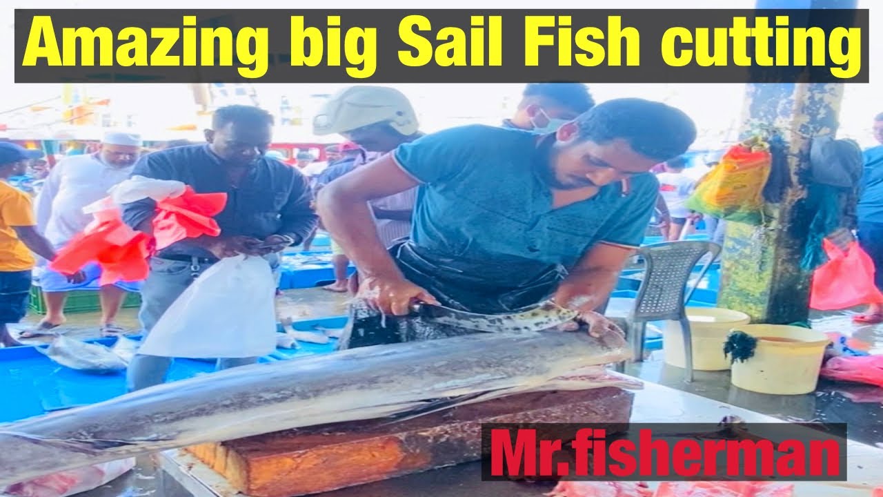 Never Seen! Live 35kg Big Sail Fish Cutting By Village Boy Expert Fish ...