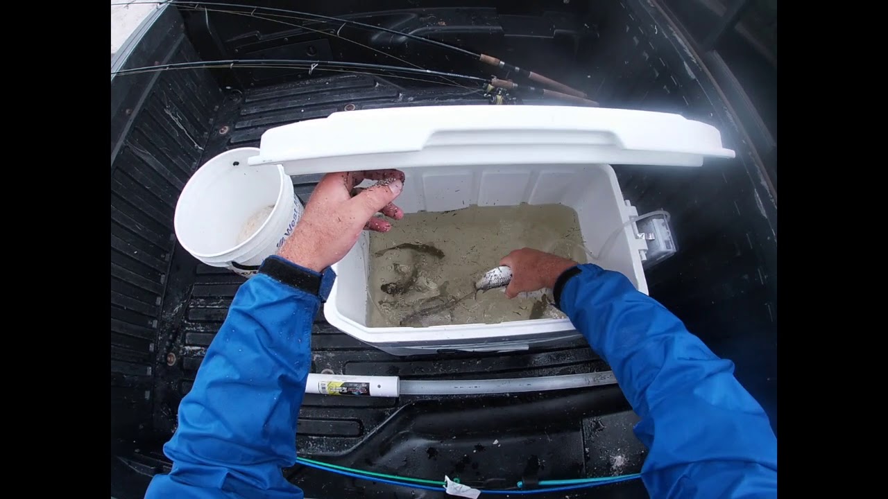 mulite run has officially begun. easy portable live well set up. - YouTube