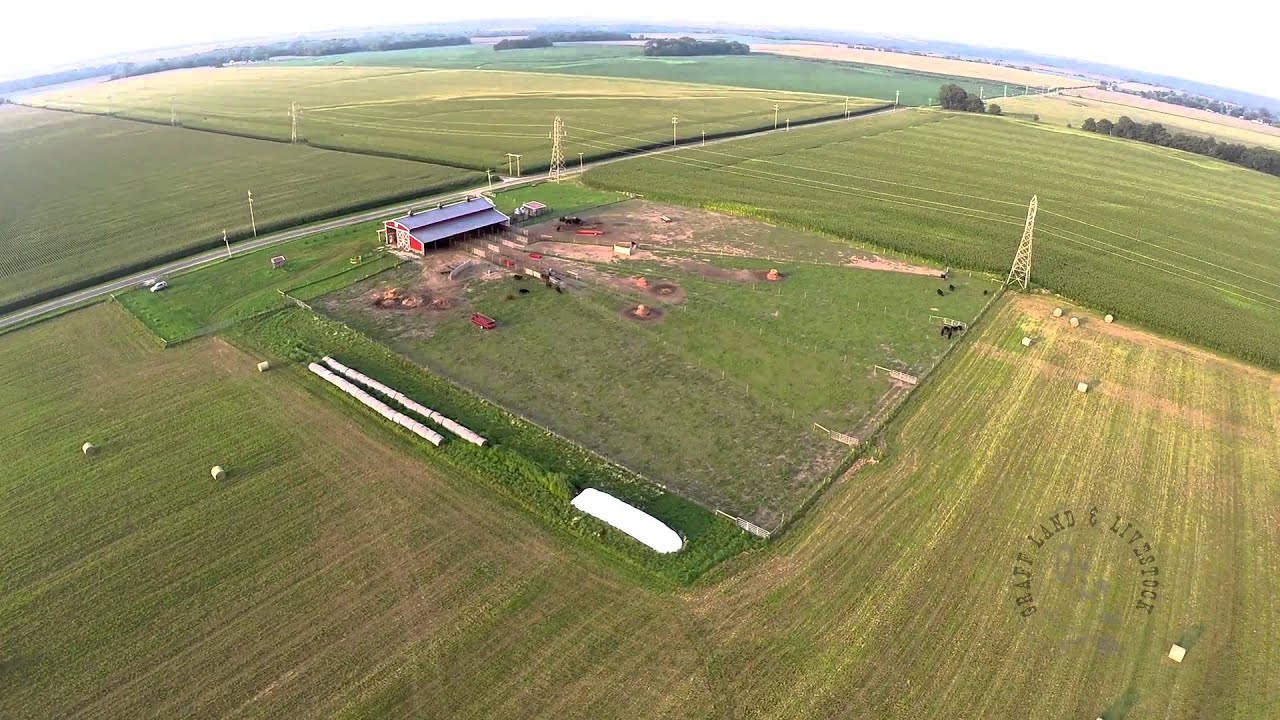 Flying over hay and cattle - YouTube