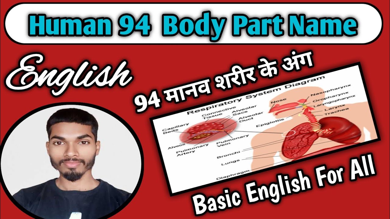 Basic English|Human Body Part Name|Free Classes|By Ashu jagga sir - YouTube
