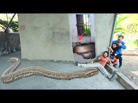brave hunters battle a giant anaconda nest to rescue a trapped girl