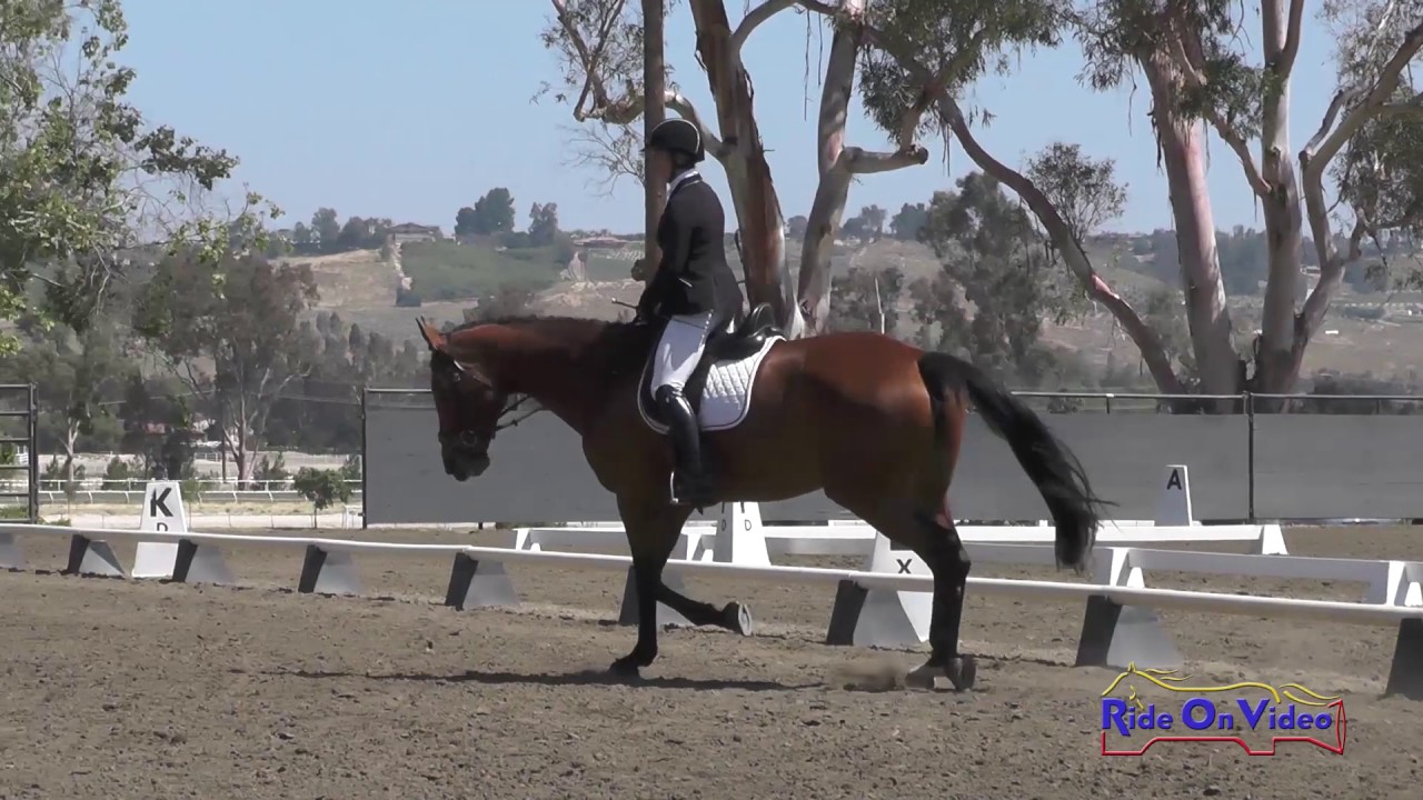 061D Heather Lamb on Cristal de Carlier SR Training Dressage Galway ...