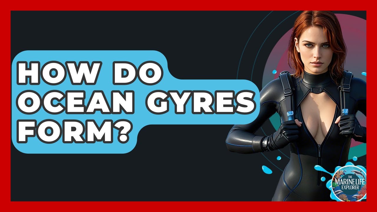 How Do Ocean Gyres Form? - The Marine Life Explorer - YouTube