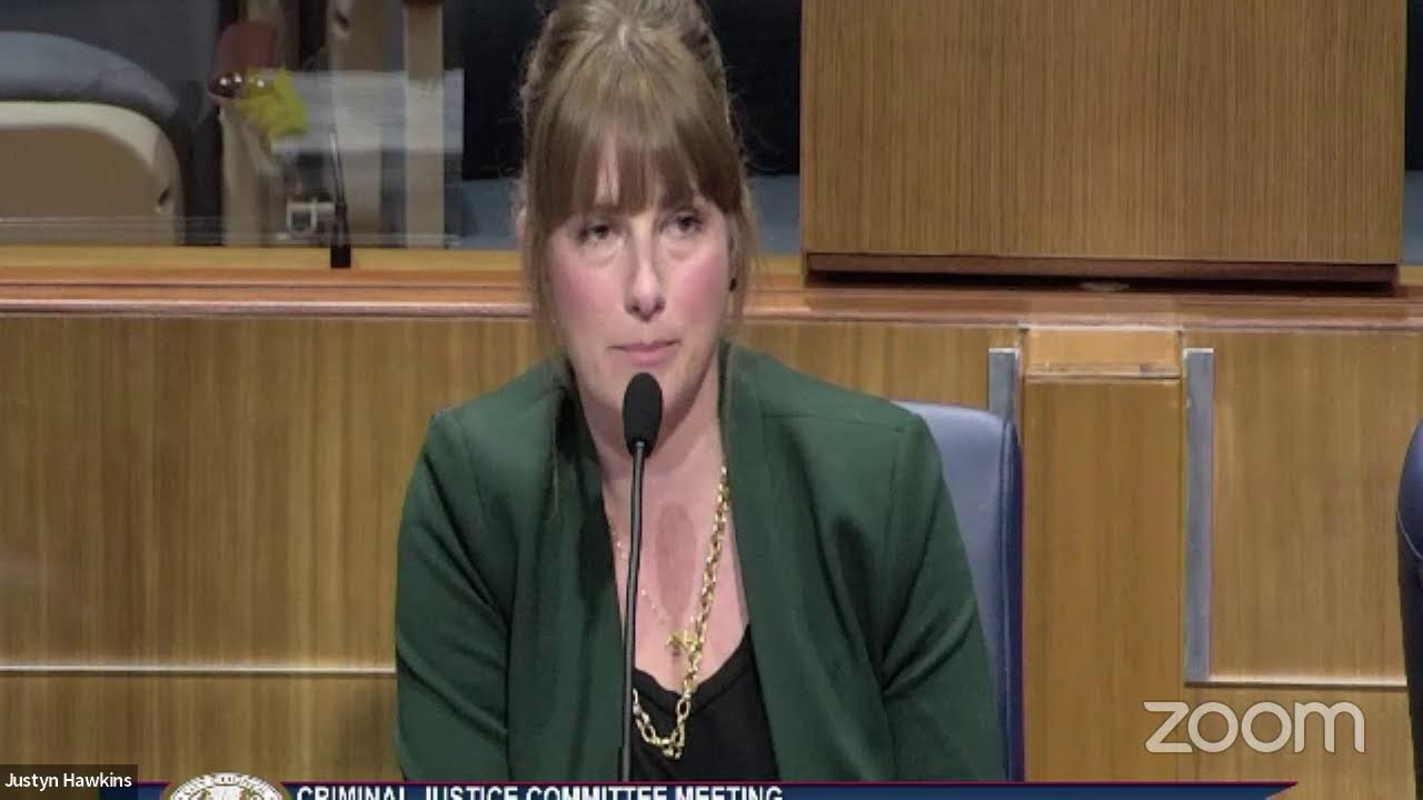 Criminal Justice Committee Meeting - YouTube