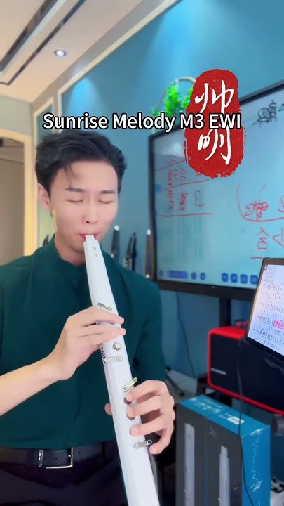 Sunrise Melody M3 EWI electronic wind instrument sound display, one of ...