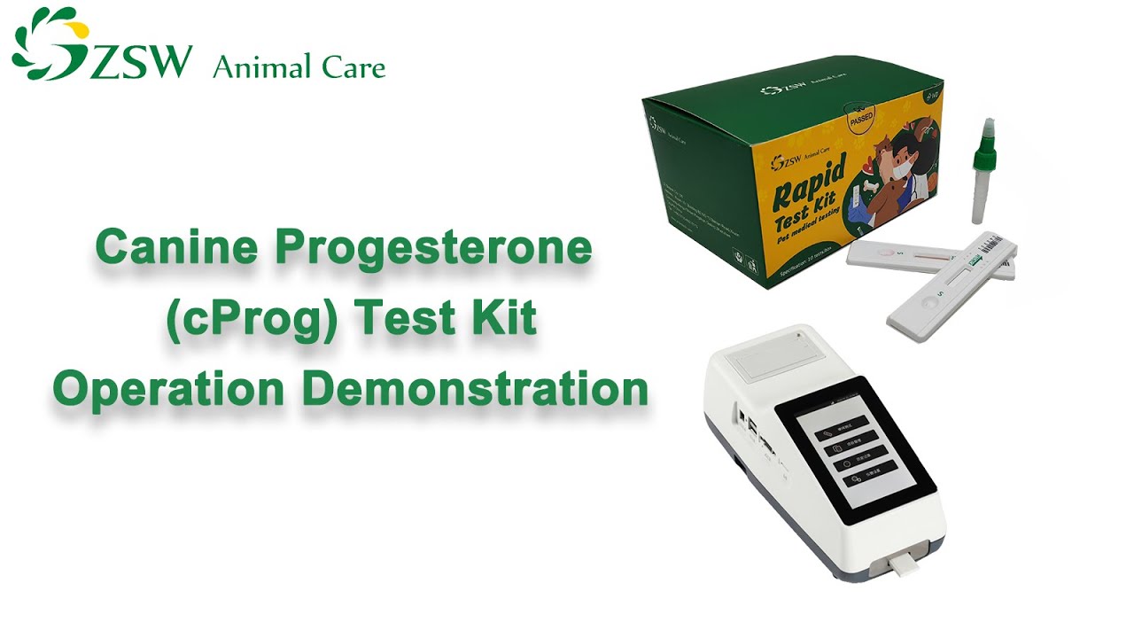 〖cProg test〗JZ Canine Progesterone (cProg) Test Kit Operation ...