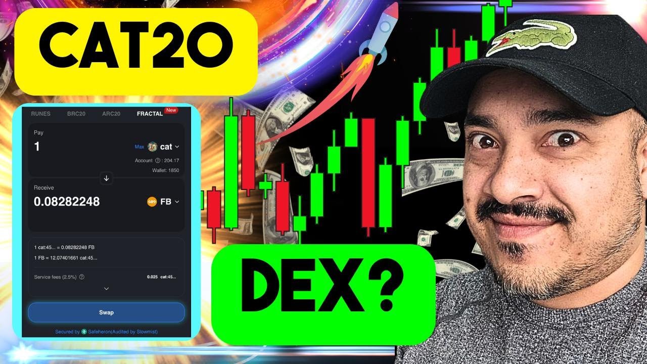 How to trade CAT20 tokens on DotSwap | CatSwap Tutorial - YouTube