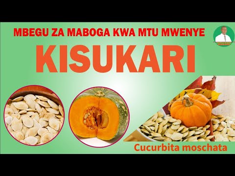 MBEGU ZA MABOGA ZINAVYOSAIDIA MGONJWA WA KISUKARI AU KUZUIA USIPATE ...